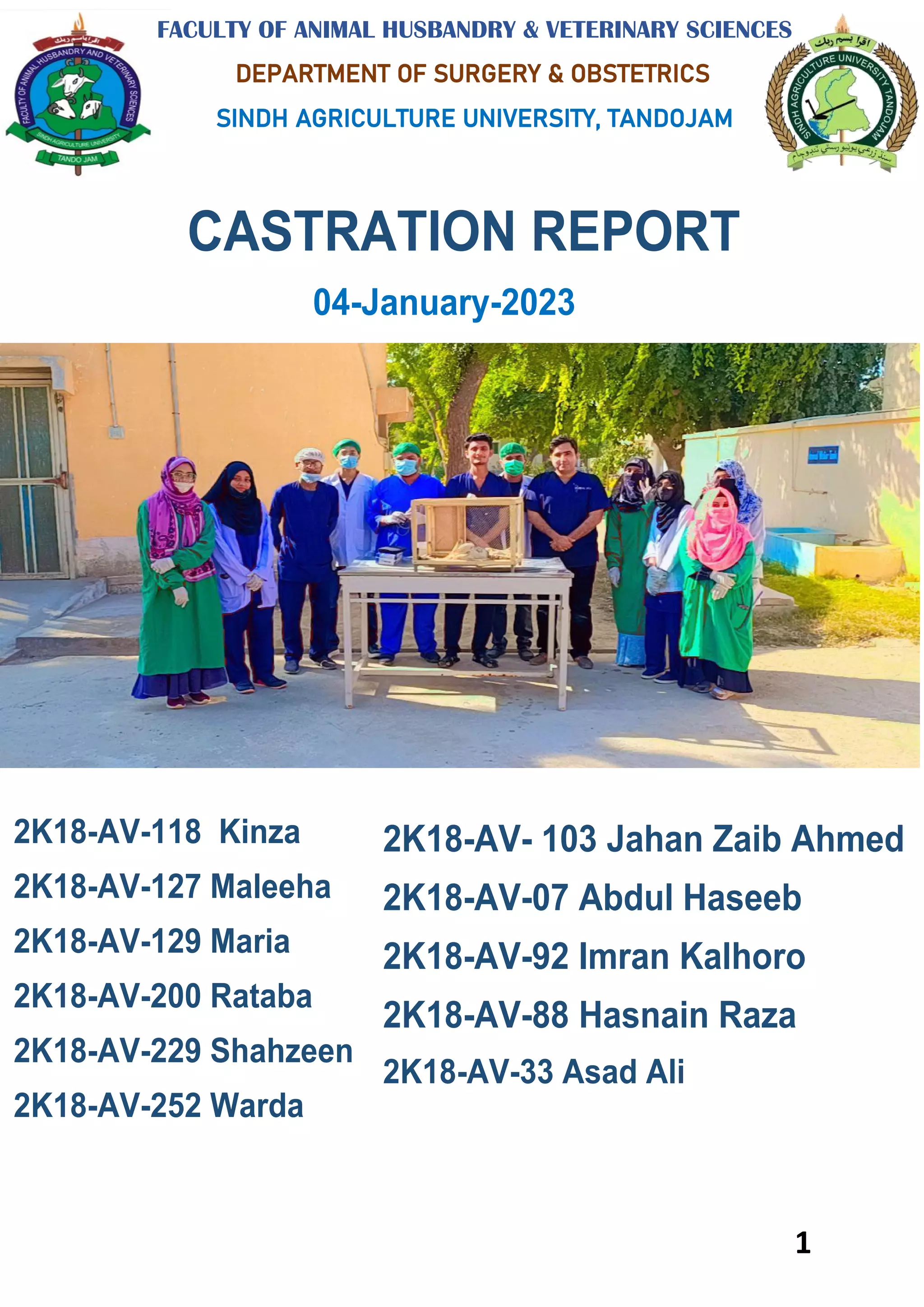 Castration in Feline.pdf