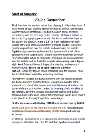 Castration Is Love Cord