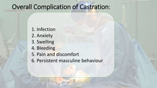 Castration of animal.pptx