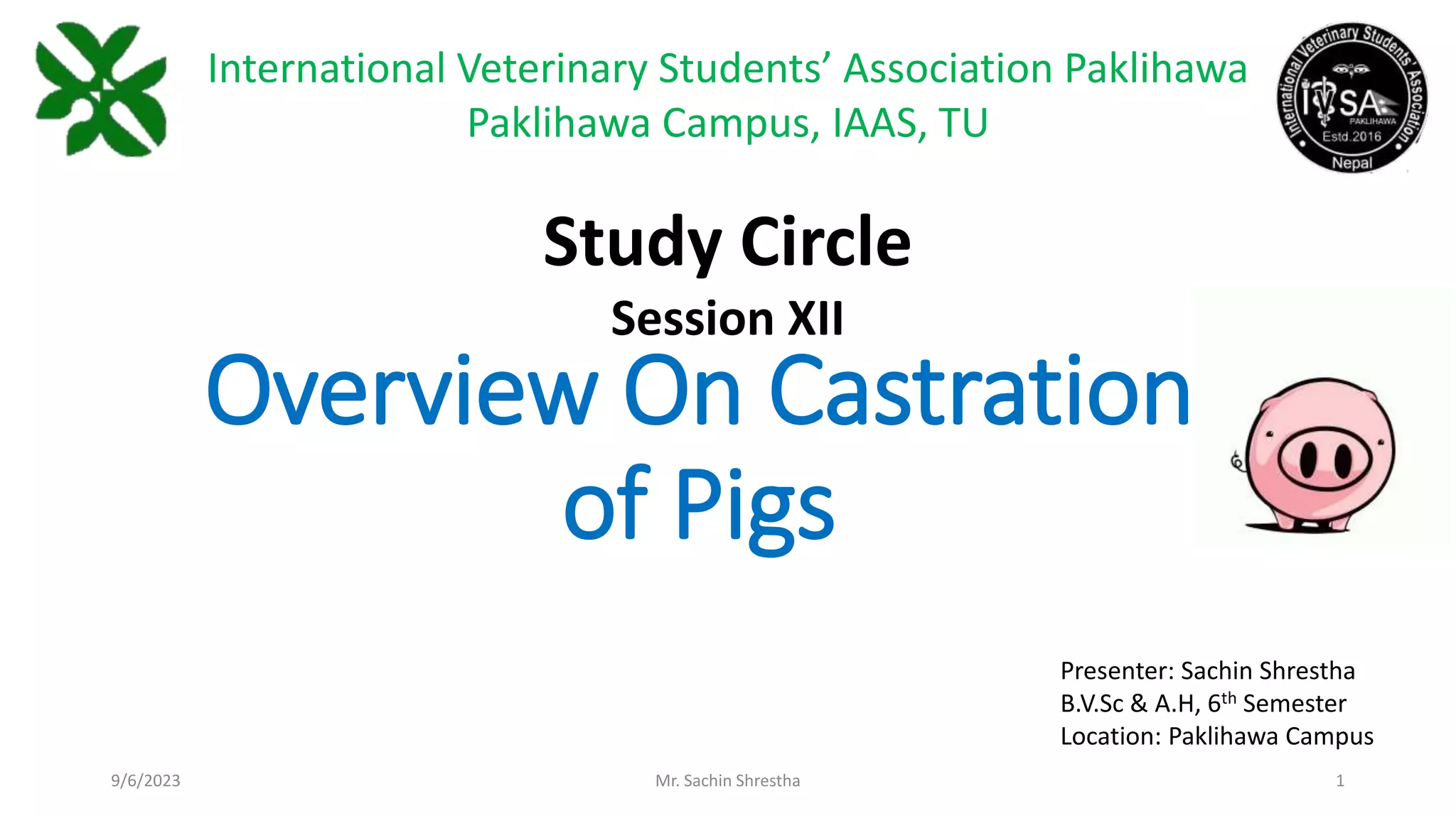 Castration of Pigs.pptx