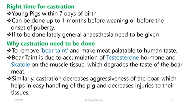 Castration of Pigs.pptx