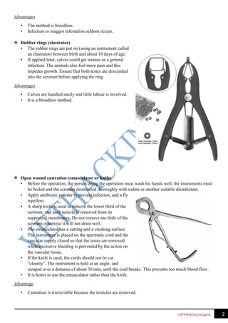 Castration (vh101) | PDF