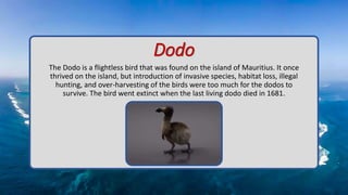 Castro - Extinction and Endangerment PPT (1).pptx