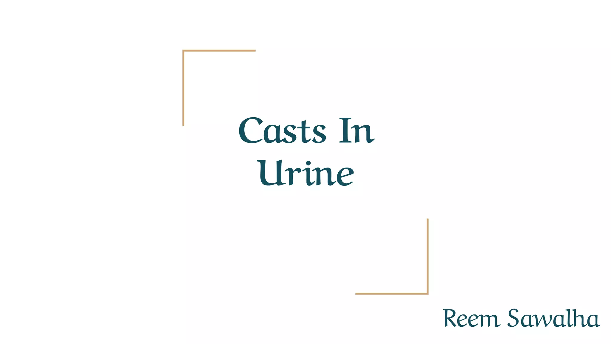 Casts in urine - Routine | PDF