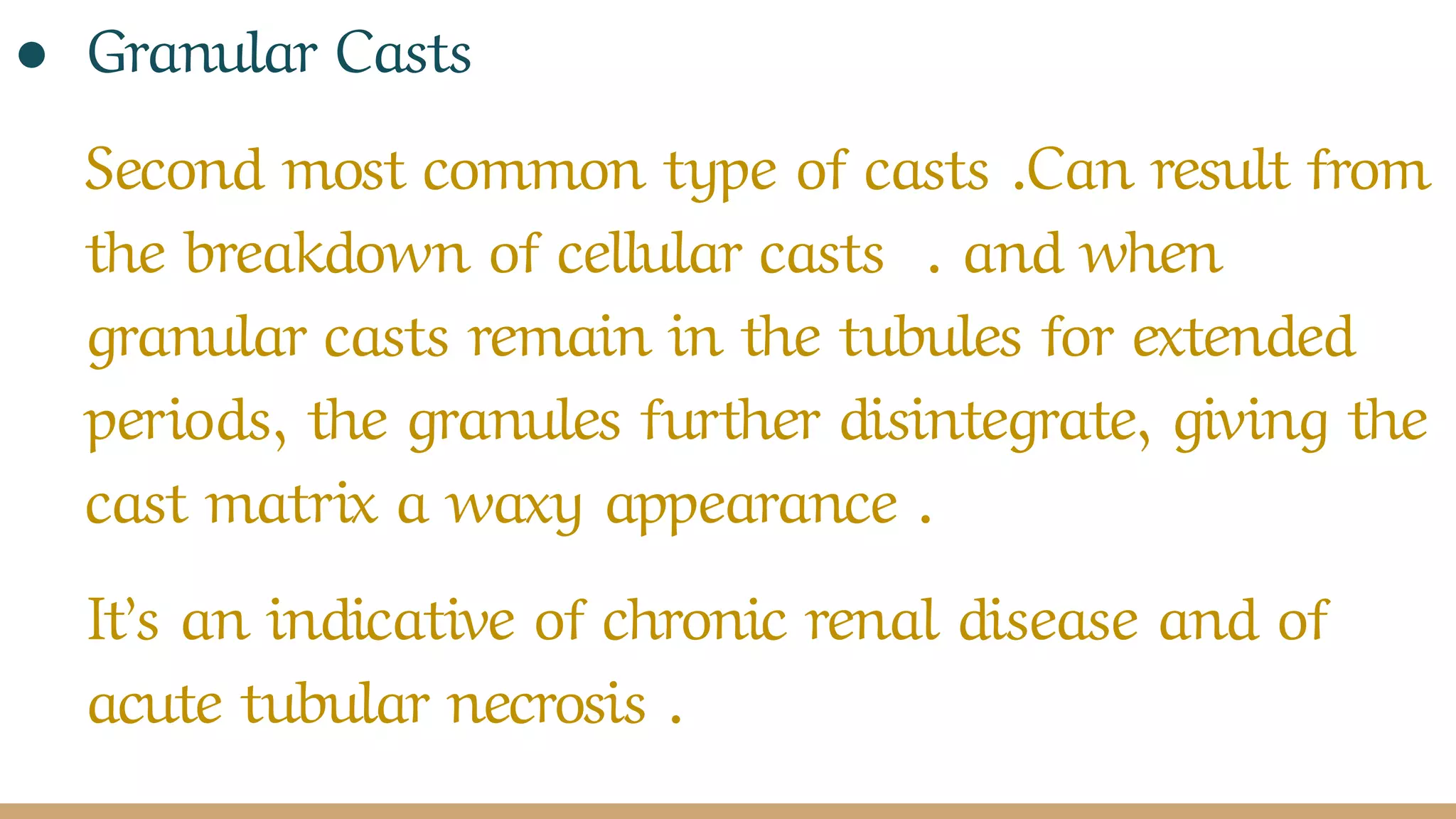 Casts in urine - Routine | PDF