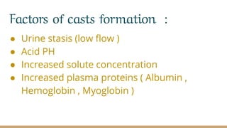 Casts in urine - Routine | PDF