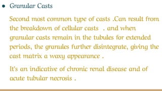 Casts in urine - Routine | PDF