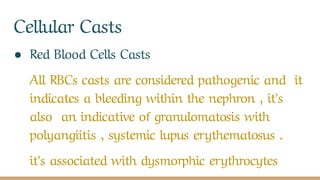 Casts in urine - Routine | PDF