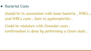 Casts in urine - Routine | PDF