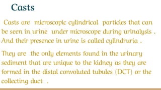 Casts in urine - Routine | PDF