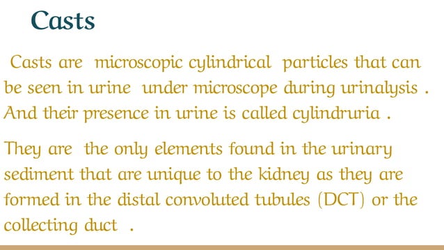Casts in urine - Routine | PDF