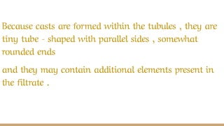 Casts in urine - Routine | PDF