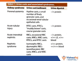 Casts in Urine Analysis nephrology .pptx | Medical Tests | Medical Health