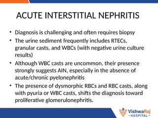 Casts in Urine Analysis nephrology .pptx