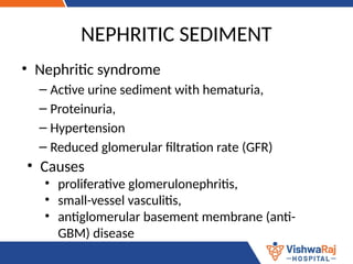 Casts in Urine Analysis nephrology .pptx | Medical Tests | Medical Health