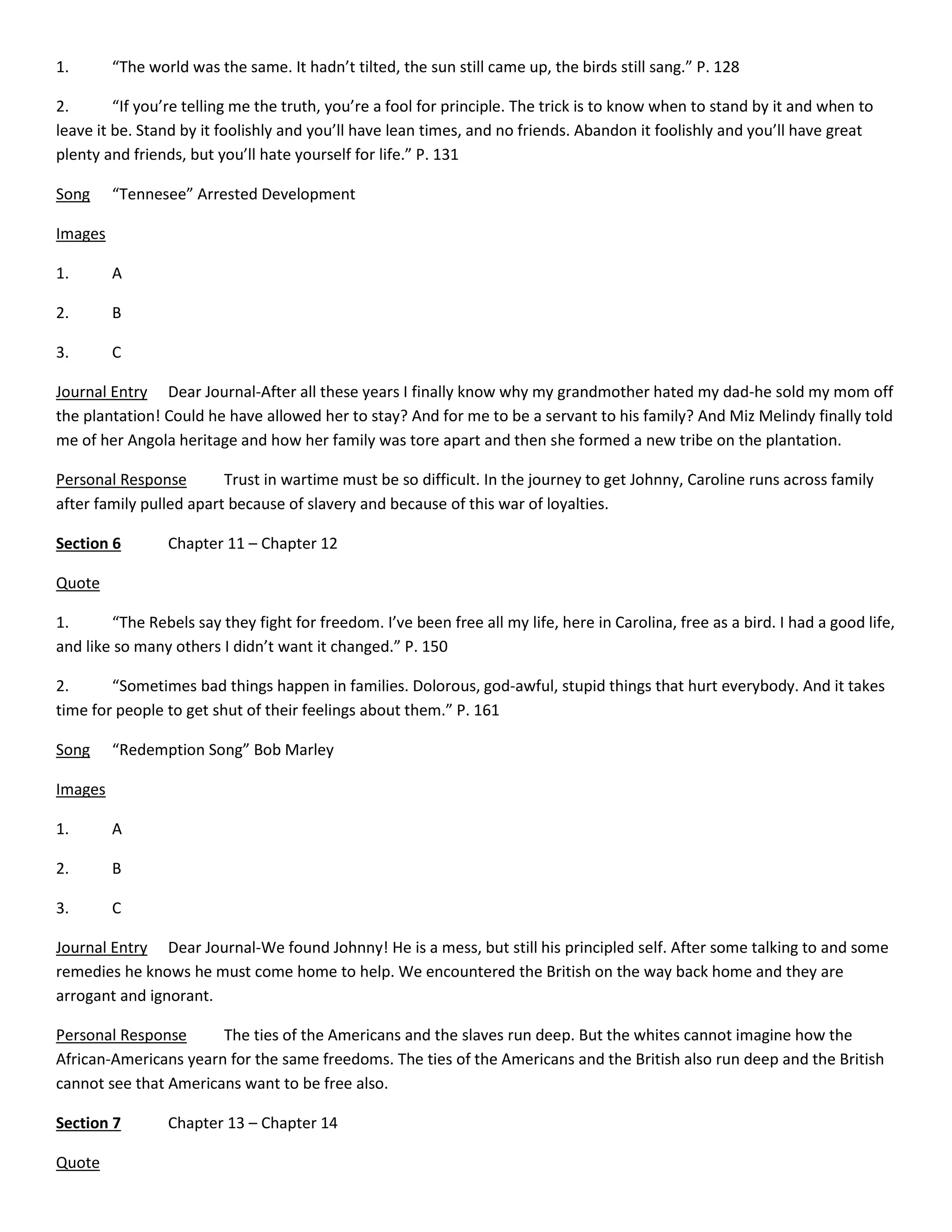 Cast two shadows the american revolution of the south | DOCX