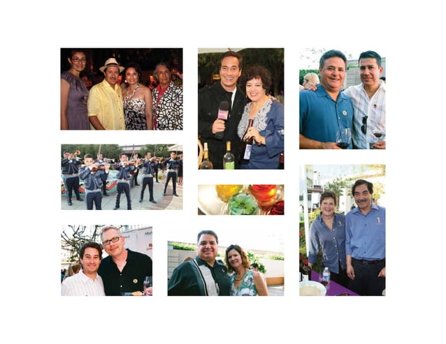 Castulo de la Rocha and the Growth of AltaMed | PDF