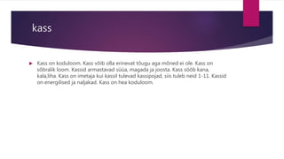 Cat | PPT