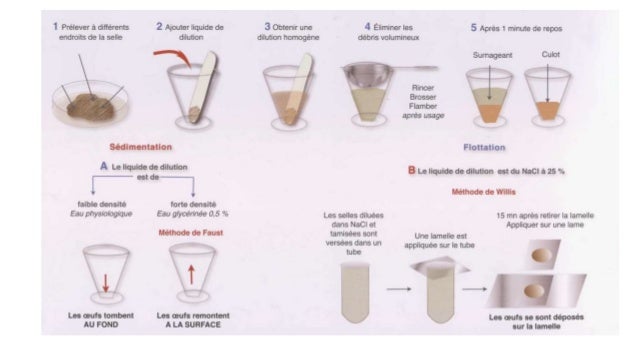 conduite a tenir devant un prélèvement de selles en parasitologie
