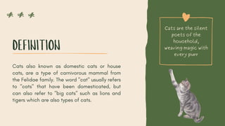 english subject presentation - cat :D.pdf