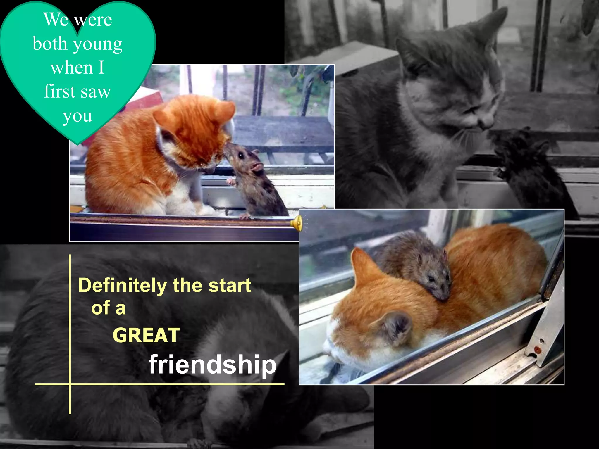 faith conde i-joy_Cat and-mouse pptx | PPT