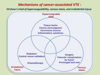 Cancer-Associated Thrombosis.From LMWH to DOACs | PPTX