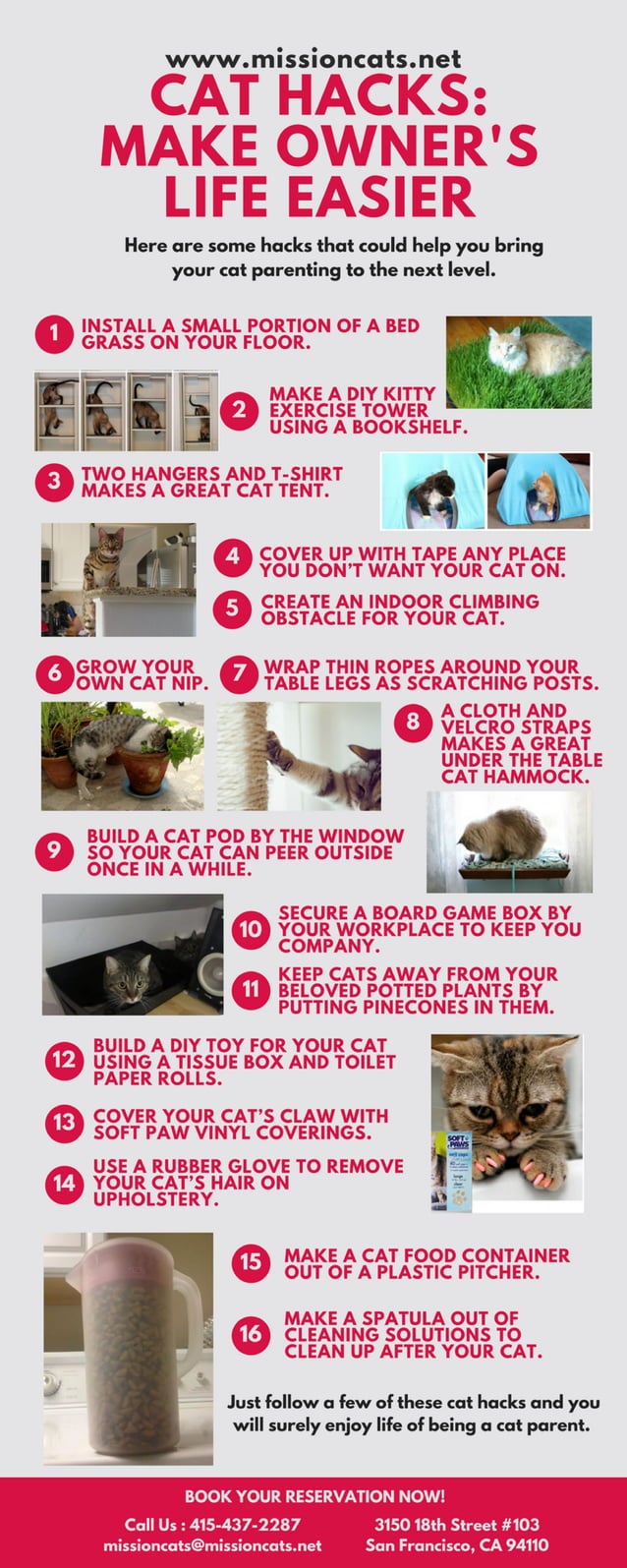 Cat Hacks: Make Owner's life Easier | PDF