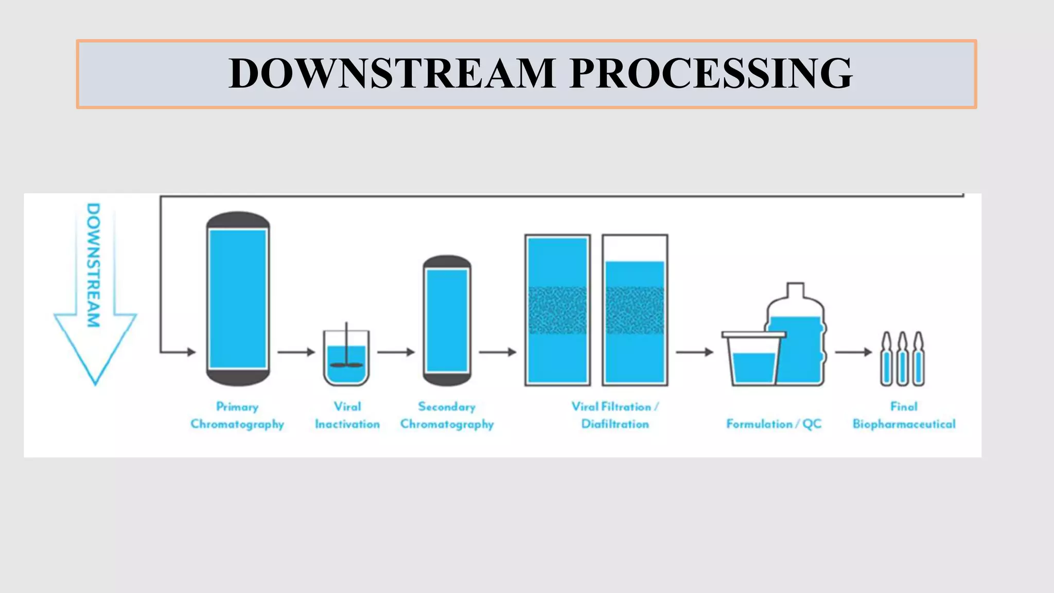 Industrial production of recombinant Erythropoietin | PPTX