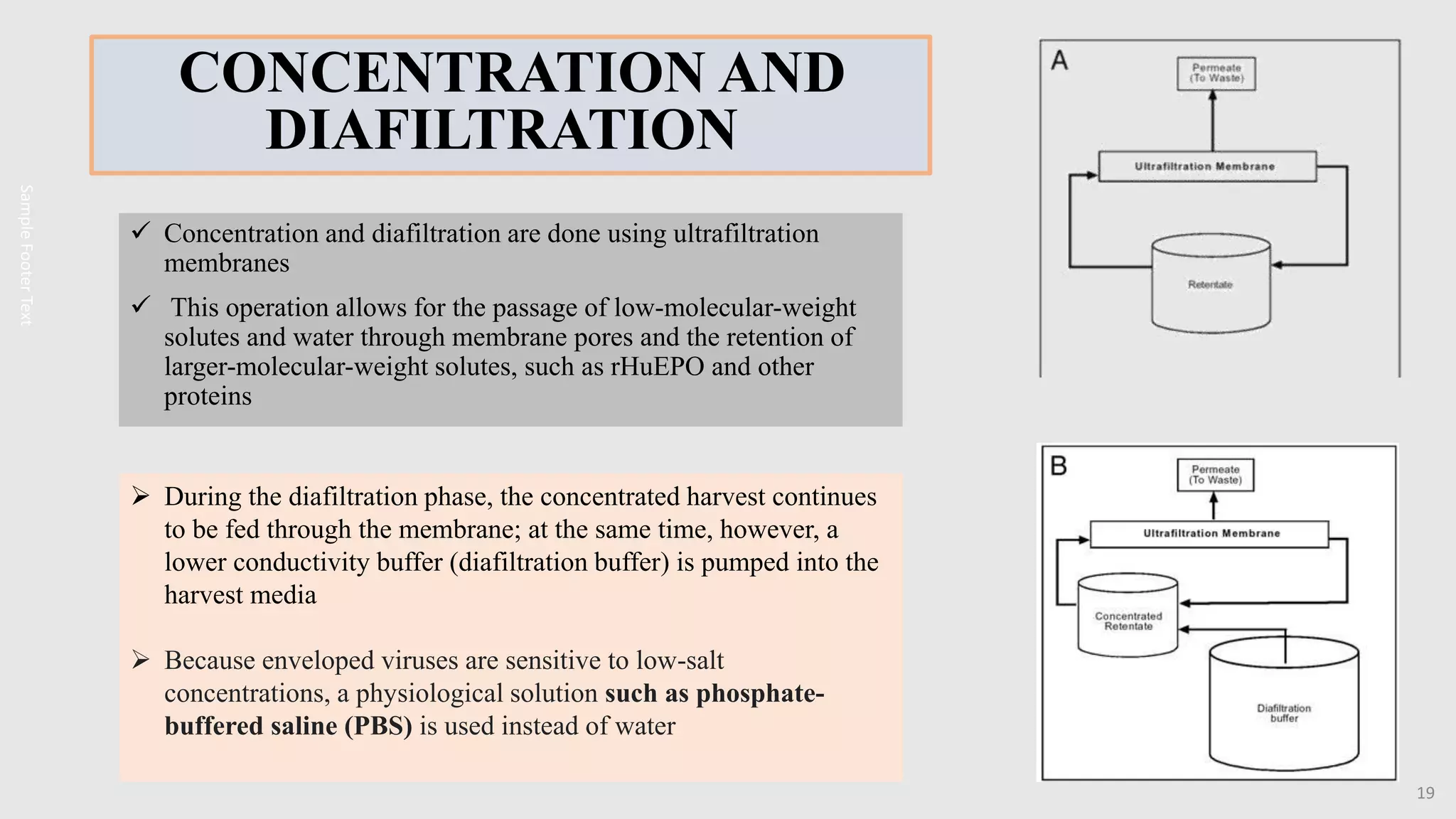 Industrial production of recombinant Erythropoietin | PPTX