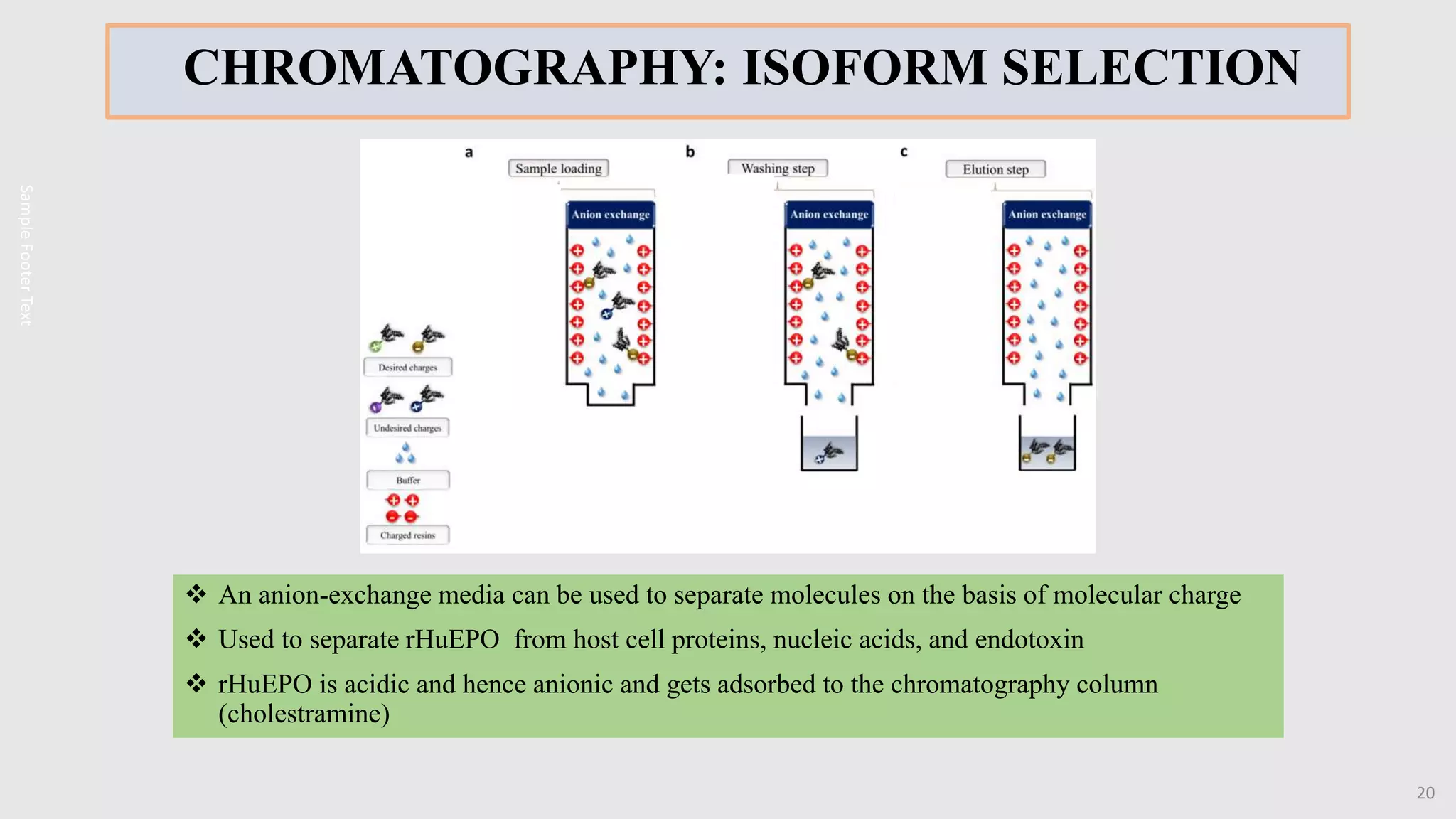 Industrial production of recombinant Erythropoietin | PPTX