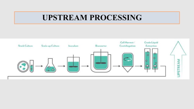 Industrial production of recombinant Erythropoietin | PPTX