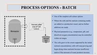 Industrial production of recombinant Erythropoietin | PPTX