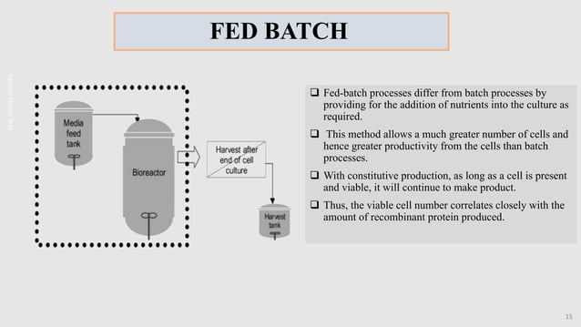 Industrial production of recombinant Erythropoietin | PPTX