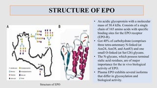 Industrial production of recombinant Erythropoietin | PPTX