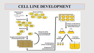 Industrial production of recombinant Erythropoietin | PPTX