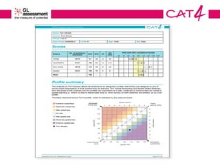 A comprehensive guide to interpreting your CAT4 data | PDF