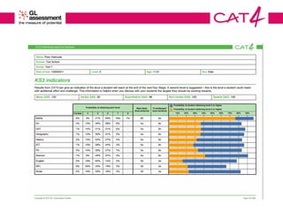 A comprehensive guide to interpreting your CAT4 data | PDF