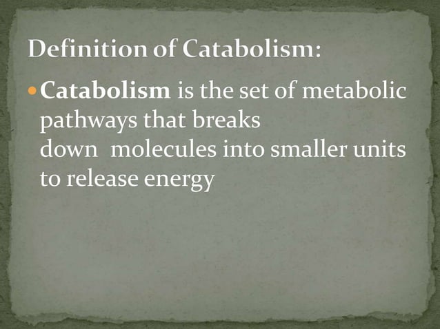 Catabolism | PPTX | Chemistry | Science
