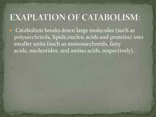 Catabolism | PPTX
