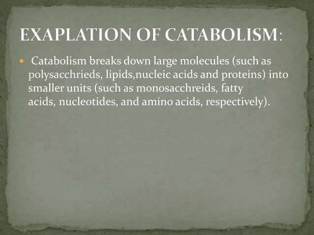 Catabolism | PPTX | Chemistry | Science