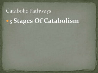 Catabolism | PPTX