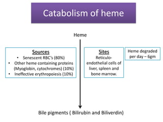Catabolism of heme | PPTX