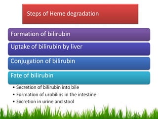 Catabolism of heme | PPTX
