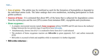 Catabolism of heme.pptx