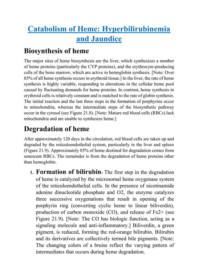 Catabolism of Heme and jaundice by BNP.pdf