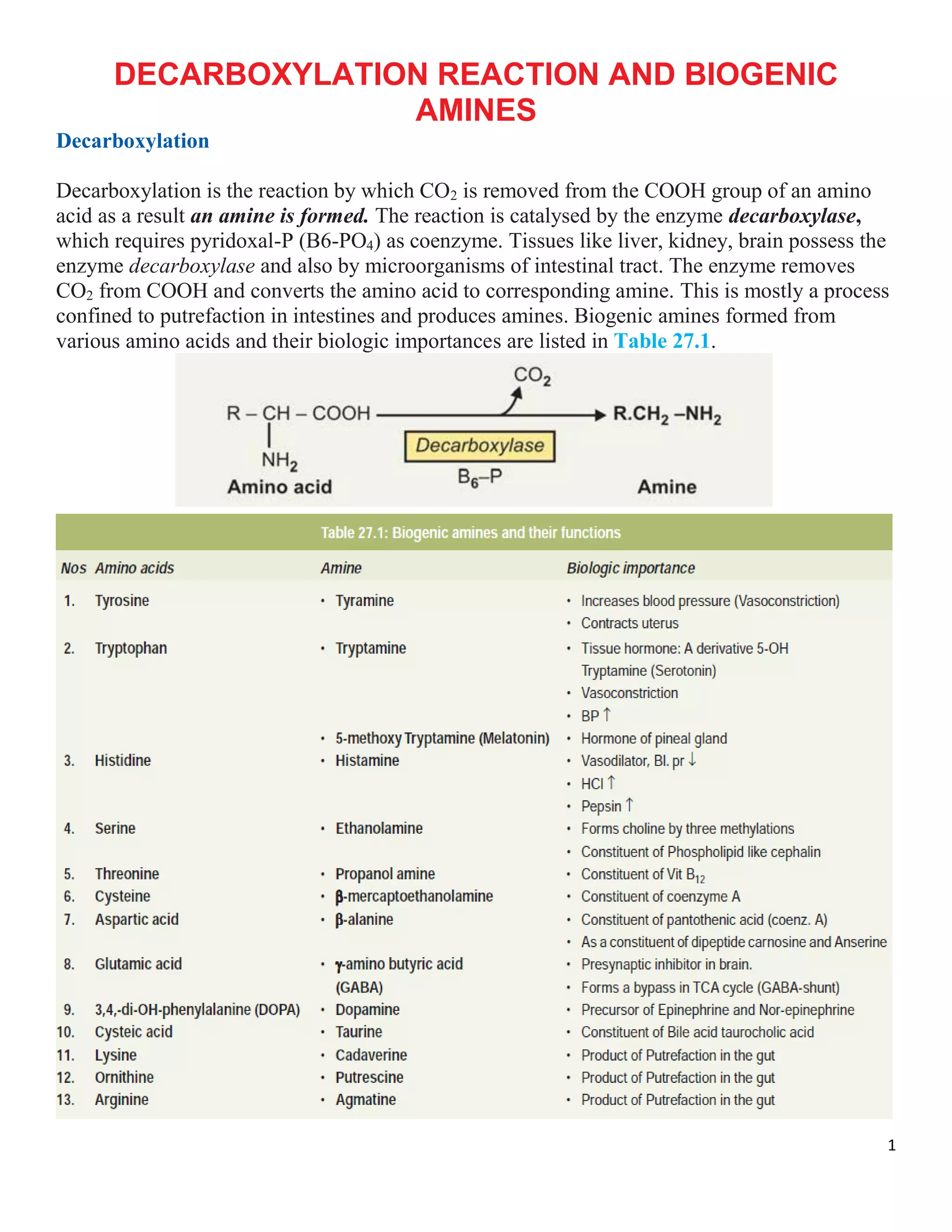 Catabolism of phenylalanine and tyrosine and their metabolic disorders ...