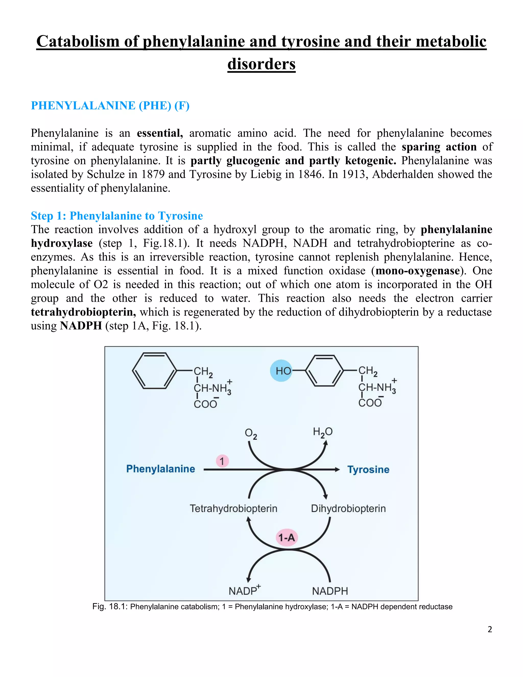 Catabolism of phenylalanine and tyrosine and their metabolic disorders ...