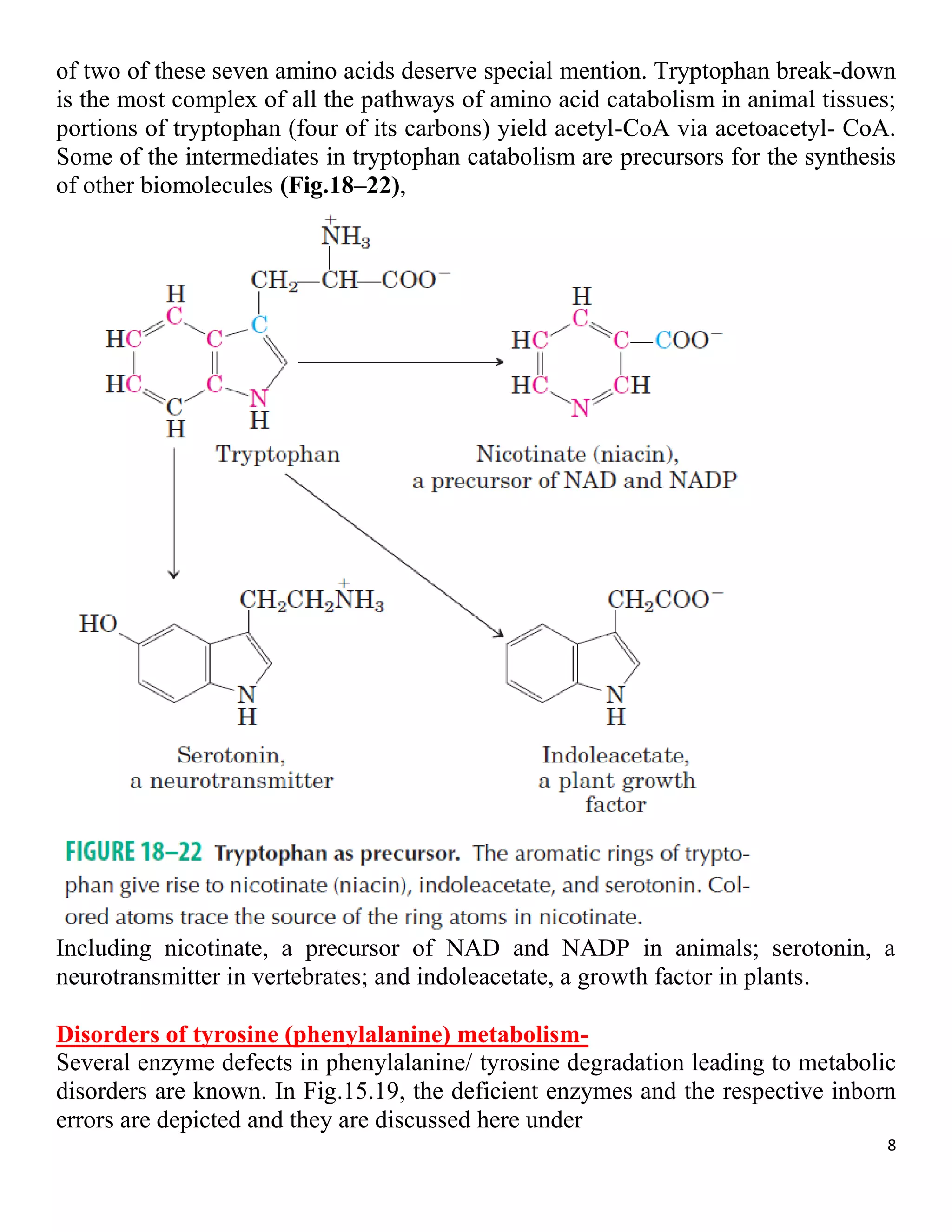 Catabolism of phenylalanine and tyrosine and their metabolic disorders ...