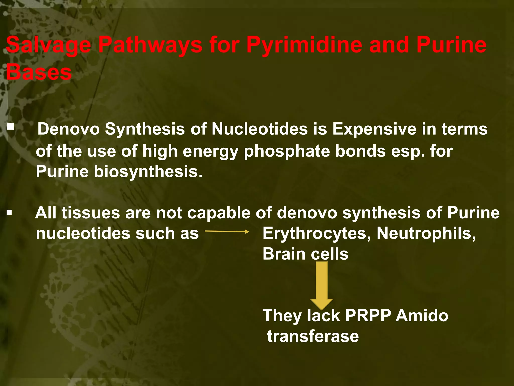 Catabolism of purine and pyrimidine synthesis | PPTX