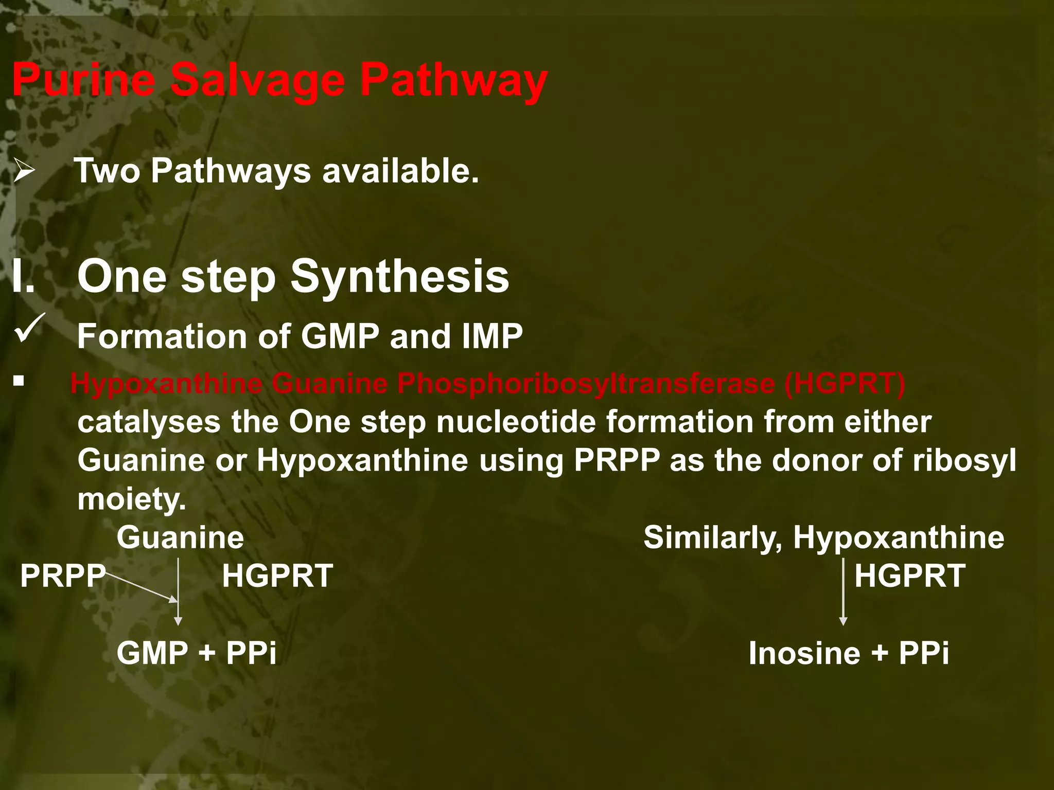 Catabolism of purine and pyrimidine synthesis | PPTX